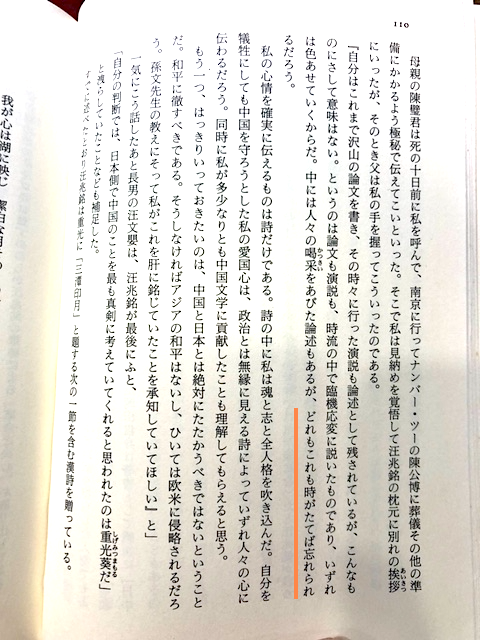 “Who Wants to Erase Wang Jingwei’s Words?” by Cindy Ho - 汪精衛與現代中國 ...